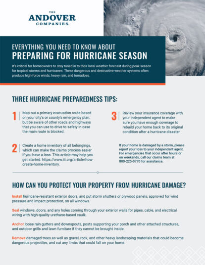 Downloadable Insurance Information Sheets - The Andover Companies